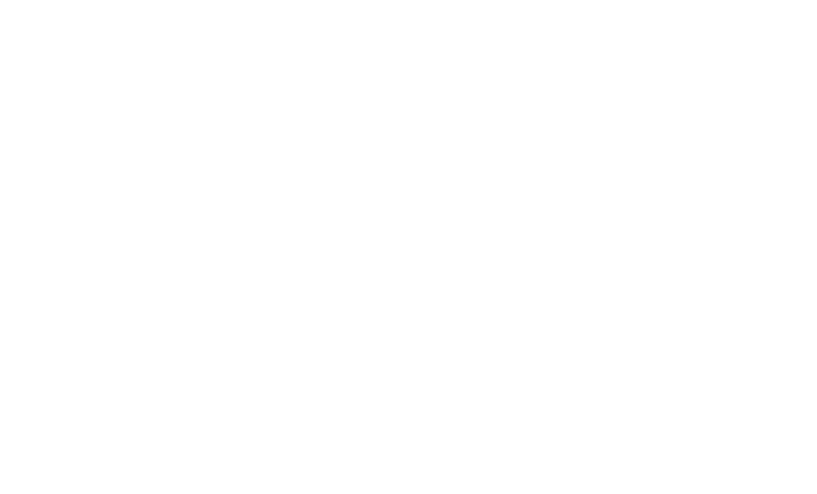 Divemex